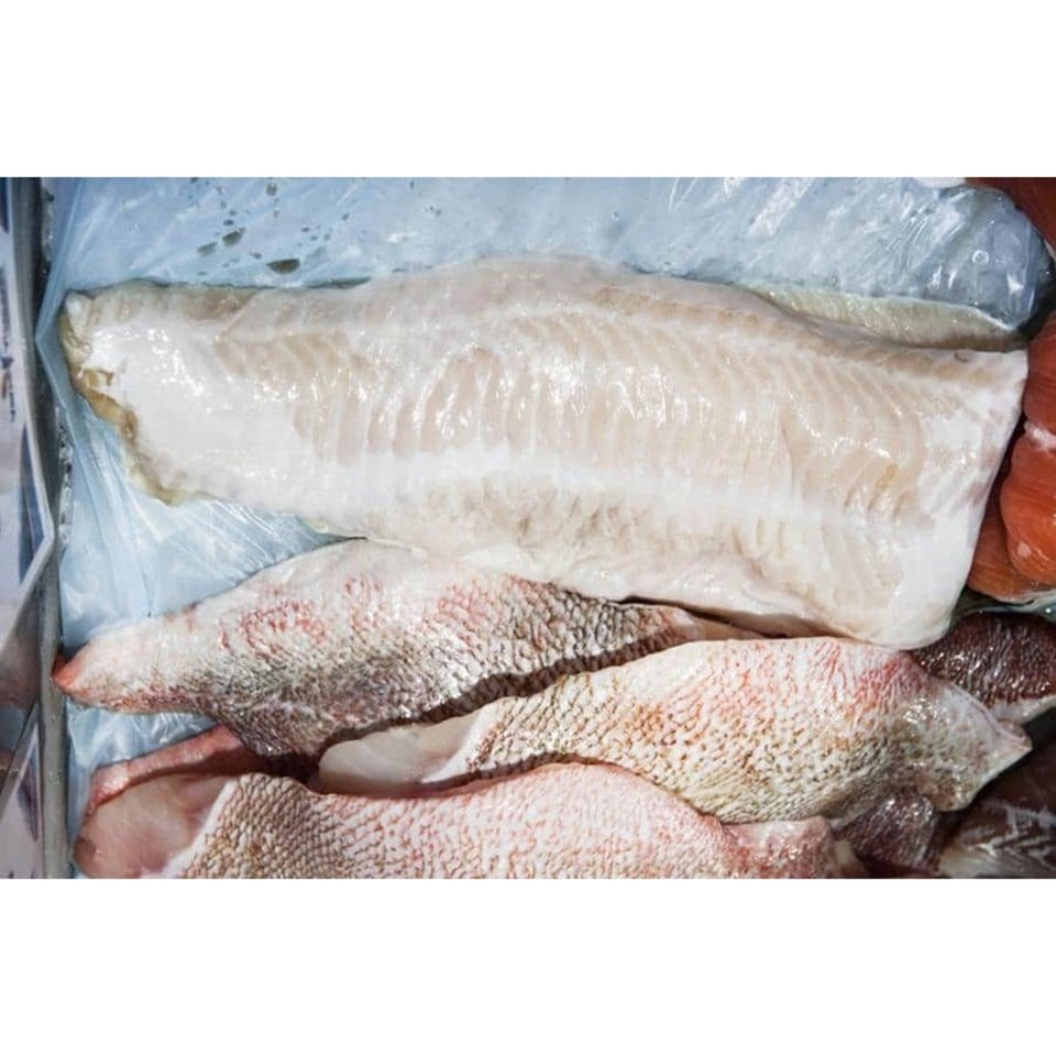 Zeewolf Filet Vers | Peddler